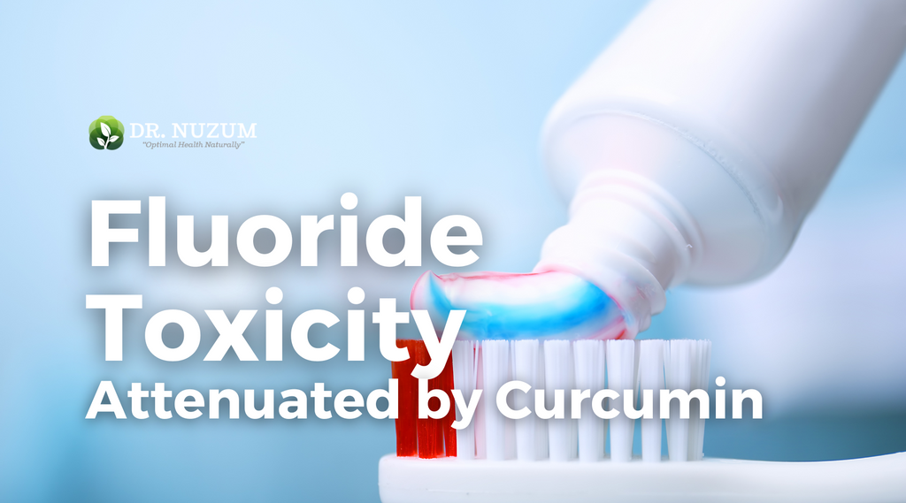 Fluoride Toxicity Attenuated by Curcumin – Dr. Nuzum's Nutraceuticals