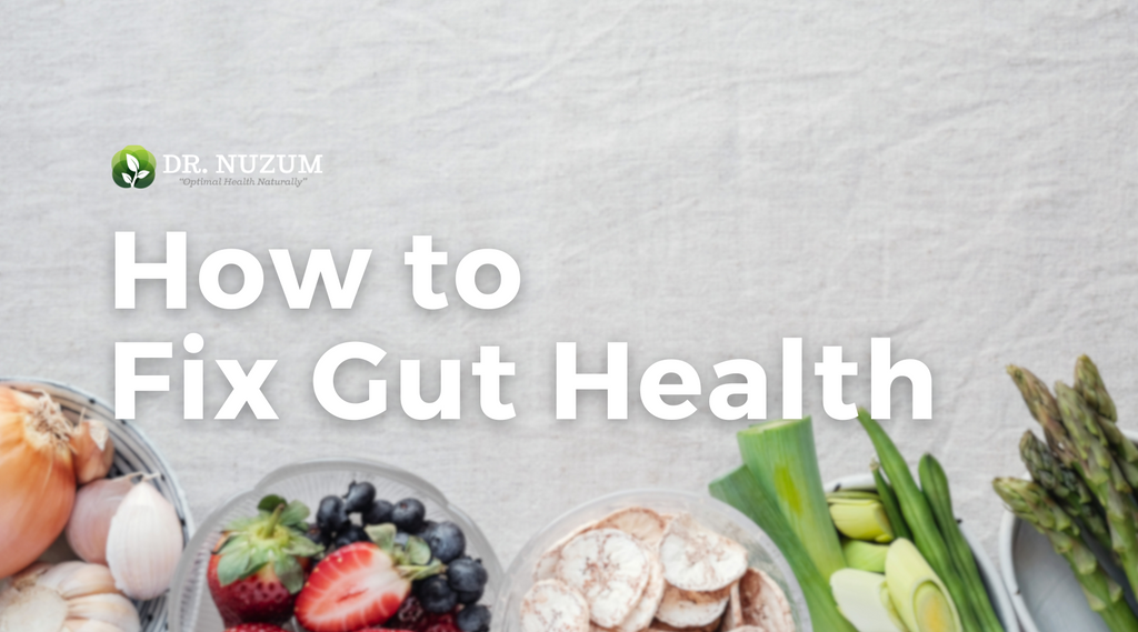 How to Fix Gut Health – Dr. Nuzum's Nutraceuticals