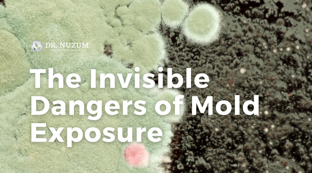The Invisible Dangers of Mold Exposure – Dr. Nuzum's Nutraceuticals